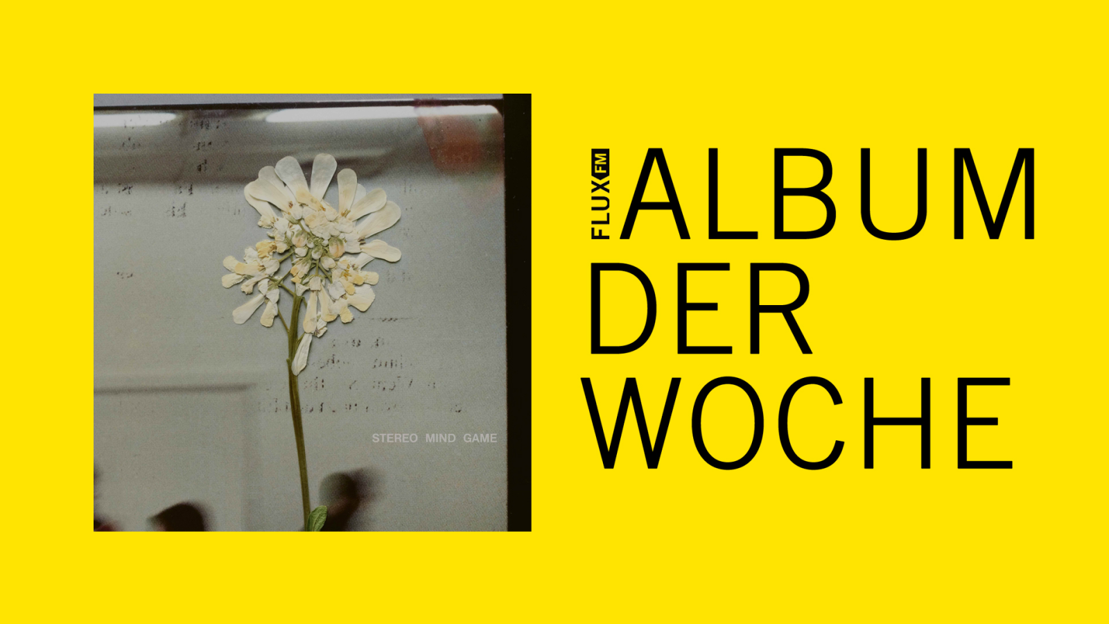 Daughter - Stereo Mind Game | Album der Woche