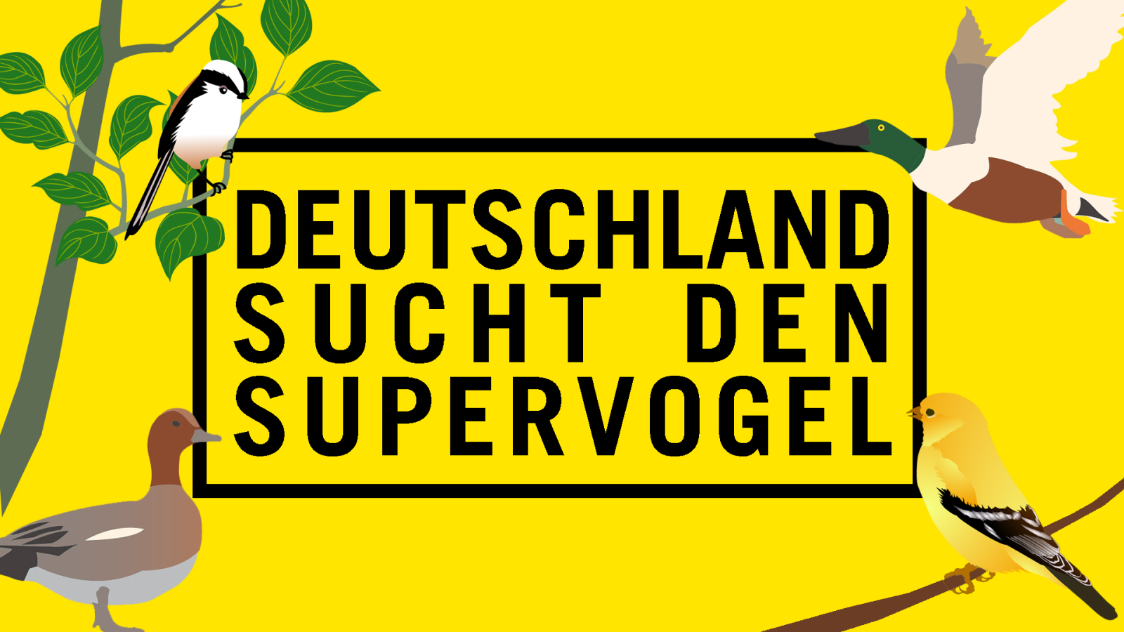 Deutschland sucht den Supervogel oder "Die Wahl zum Vogel des Jahres ...