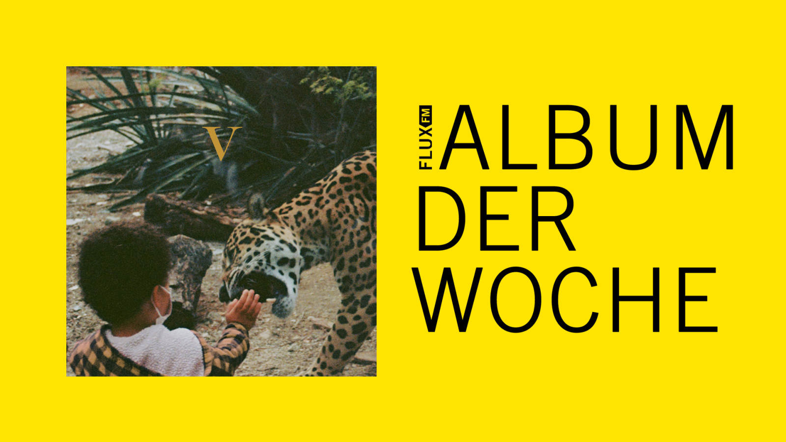 Unknown Mortal Orchestra: "Ein Album voller Guilty Pleasures" | Album ...